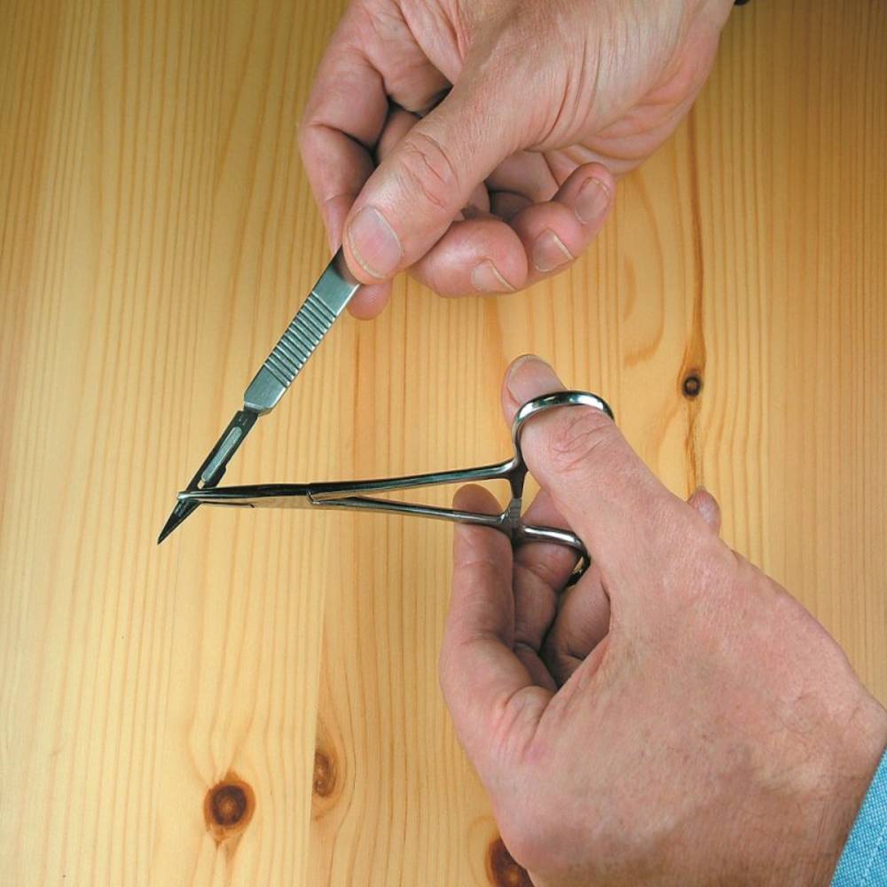 Modelcraft Locking Forceps 150mm Straight (PCl5045) | Workbench ...